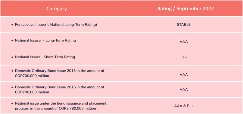 Credit Ratings: Validating Our Financial Stability - Terpel